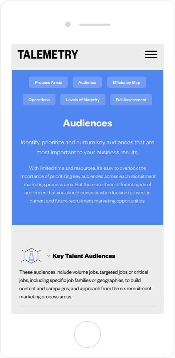 Portfolio Example: Talemetry | SmartBug Media®